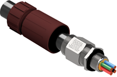 CCG056102-VX-K CCG 2 EX VORTEx - 3 PER KIT